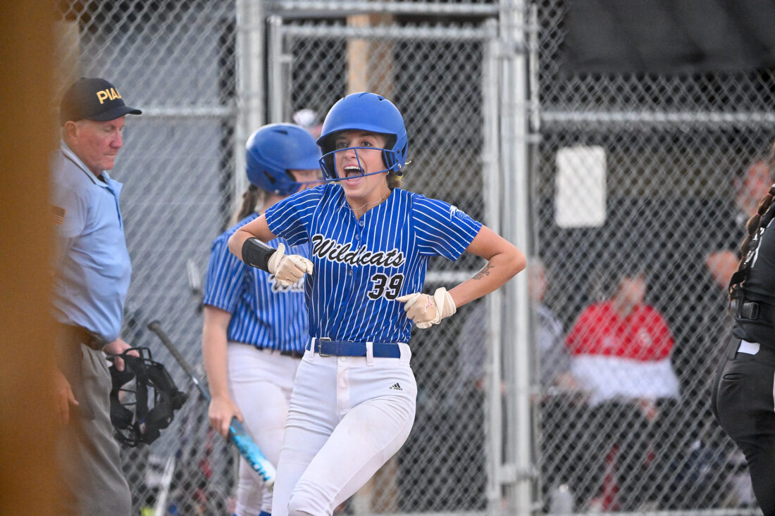 Shultz pitches six scoreless innings, as CM scrapes into state tourney ...